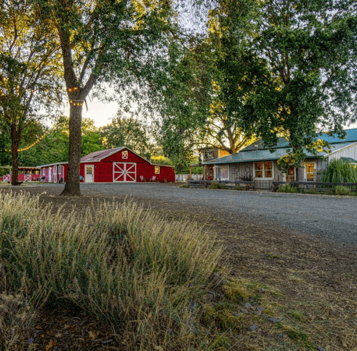 Soul Whispering Ranch | 灵吟山庄