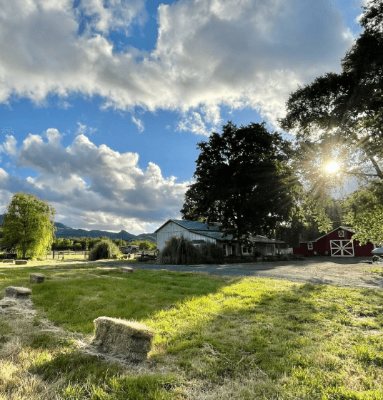 Soul Whispering Ranch | 灵吟山庄