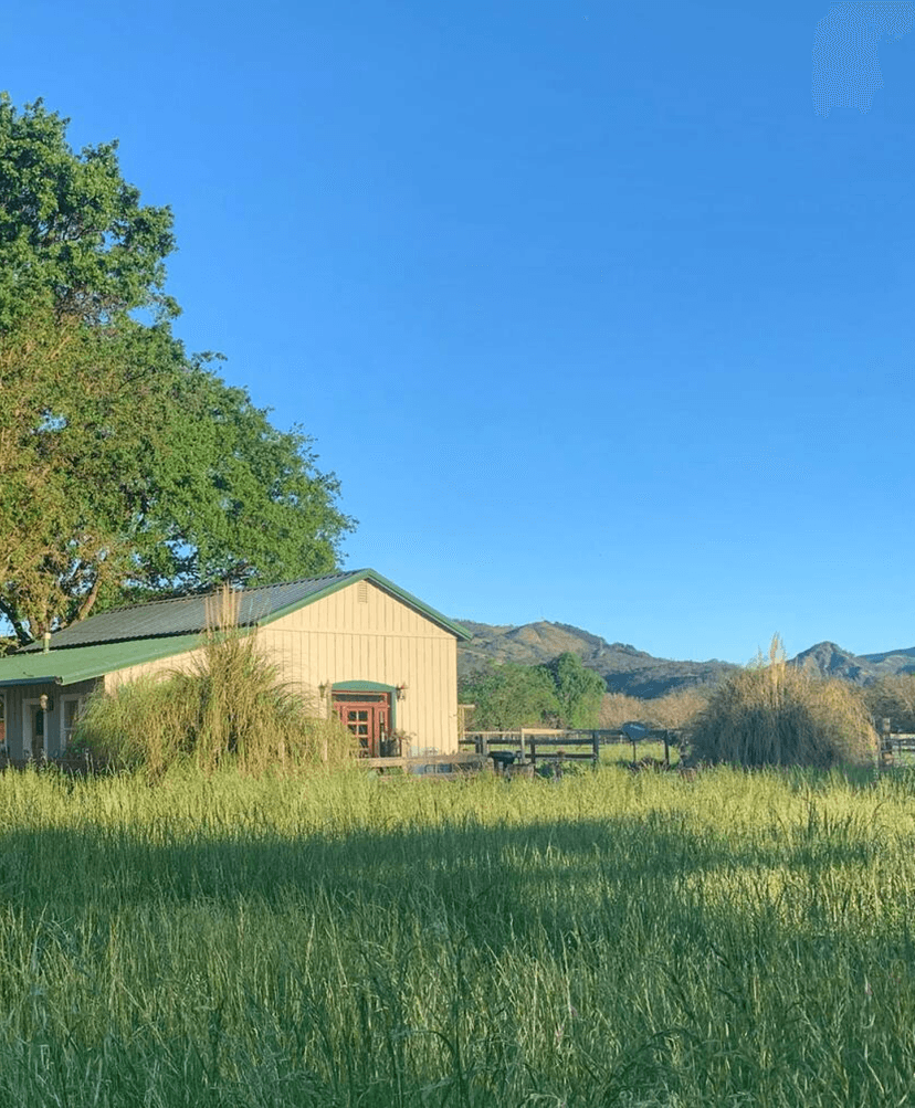 Soul Whispering Ranch | 灵吟山庄